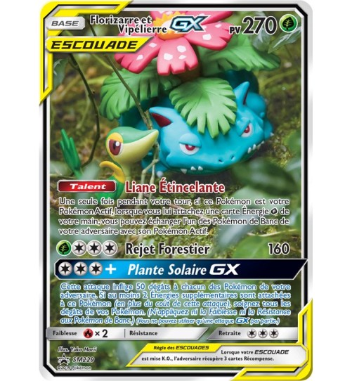 Collection Premium Générations ESCOUADE